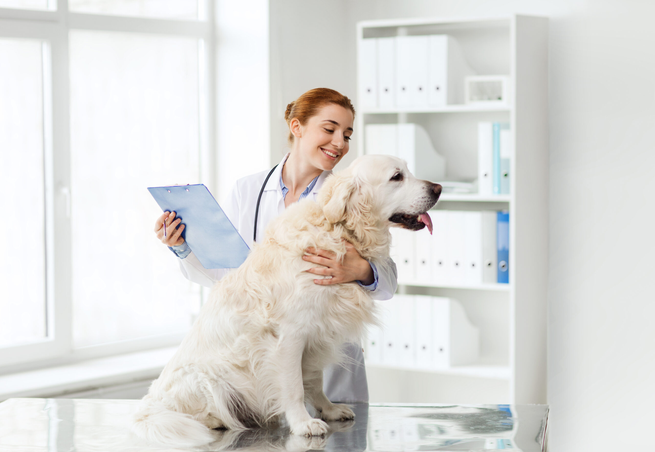 LVL Animal Health – Science-Driven Animal Health Solutions